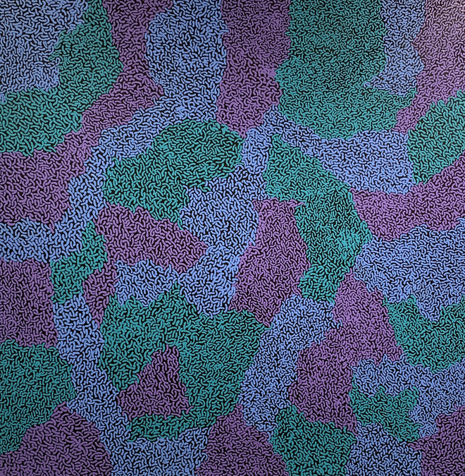 Aboriginal Artwork For Sale in Adelaide - APY Gallery