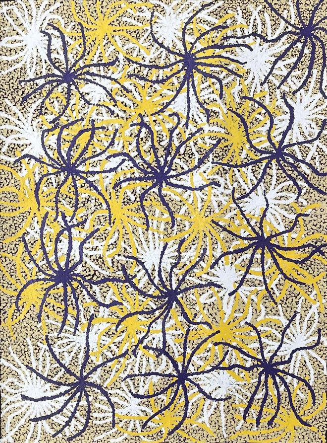 Adelaide Current Online Shop – Page 3 – APY Gallery