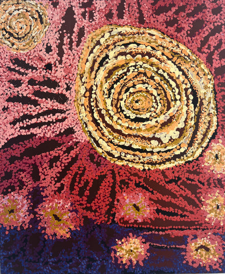 Aboriginal Artwork For Sale in Sydney - APY Gallery