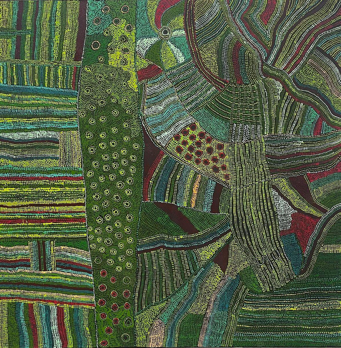 Cassyanne Woods – APY Gallery