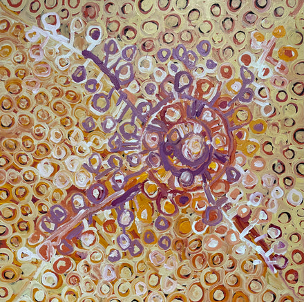 Aboriginal Artwork For Sale in Adelaide - APY Gallery
