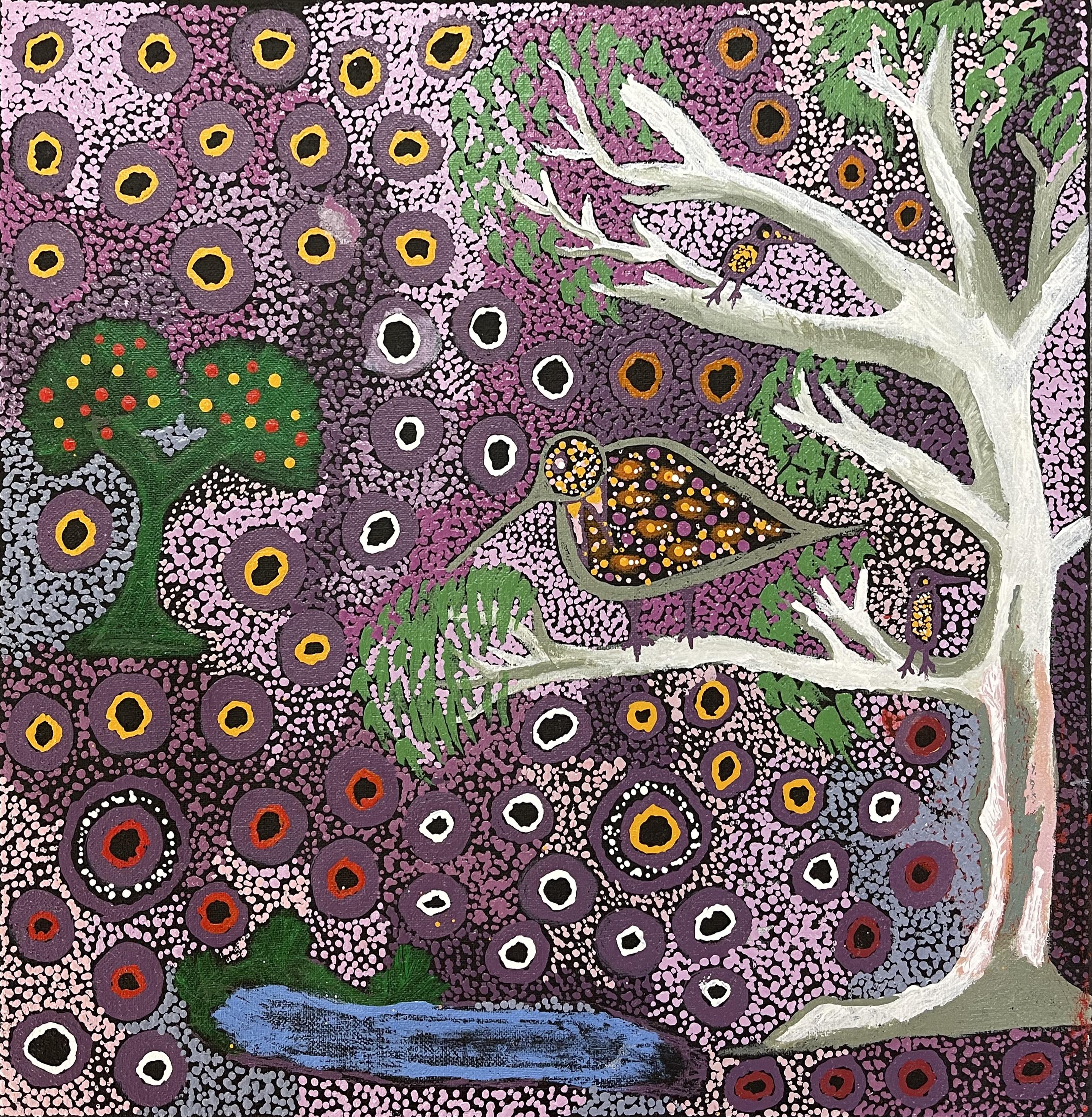 Sheena Dodd – APY Gallery